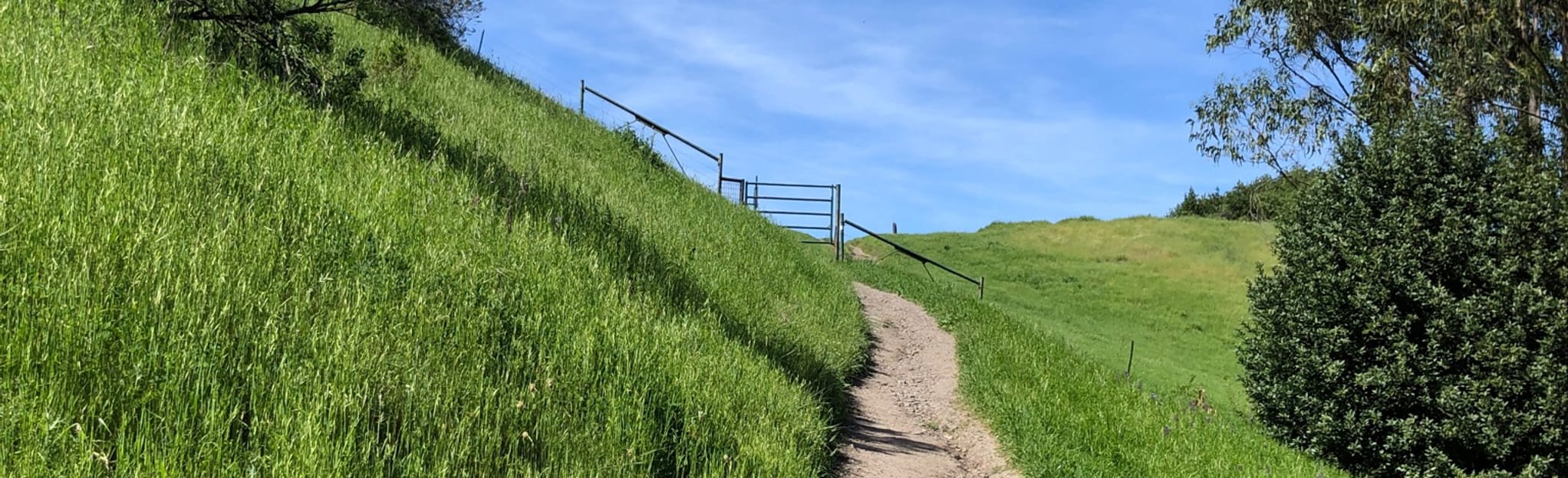 Bay Area Ridge, Round Top Loop, and Volcanic Trail Loop | Map, Guide ...