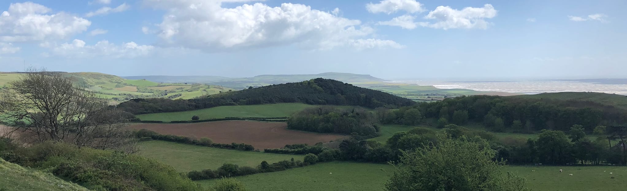 Mottistone Down and Brooke Coastal Path Circuit: 86 Fotos - Isle of ...