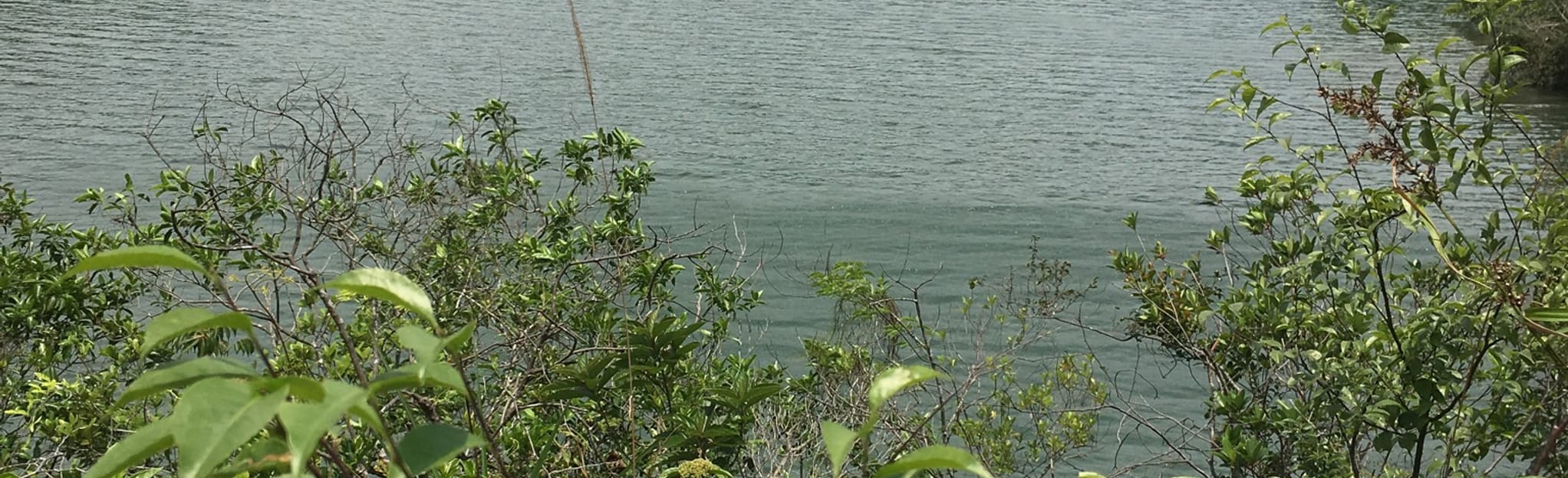 AllTrails | Ho Pui Reservoir Loop: 64 Reviews, Map - Tsuen Wan, Hong Kong