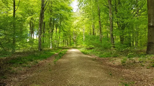 10 Best Walking Trails in Alresford | AllTrails