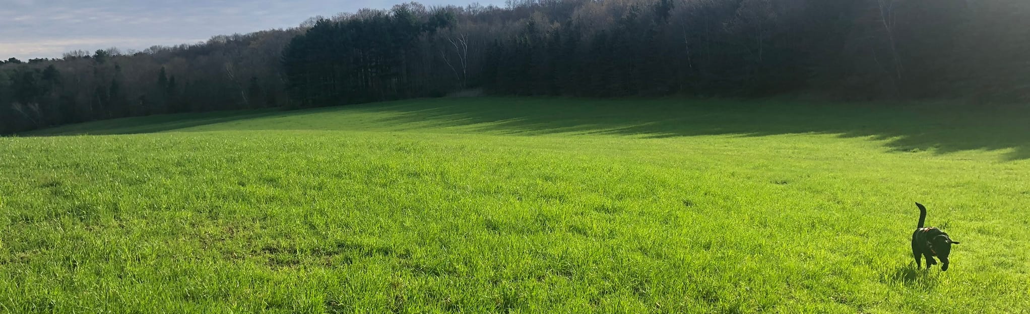 Longo Farm Outer Loop: 239 Reviews, 160 Photos, Map - Connecticut ...