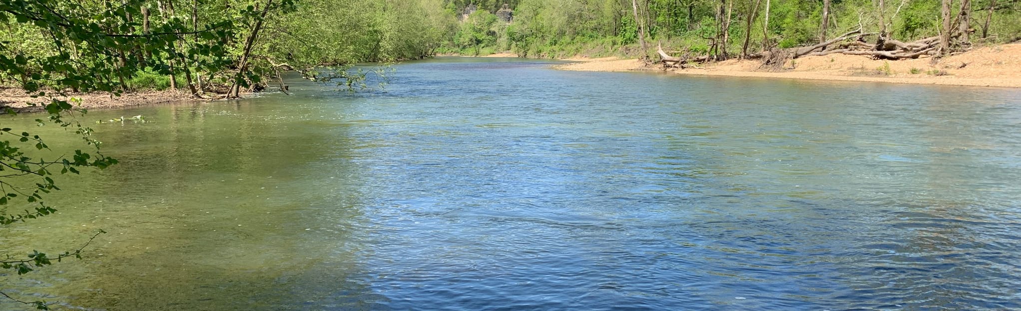 Slabtown Bluff Trail: 39 Reviews, Map - Missouri | AllTrails