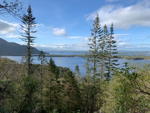 Best 10 Hikes and Trails in Killarney National Park | AllTrails