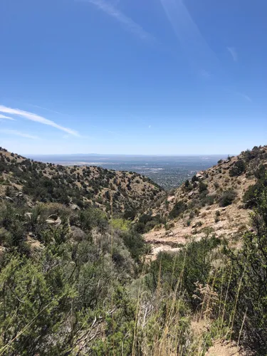 10 Best Wild Flowers Trails in Sandia Foothills Open Space Park | AllTrails