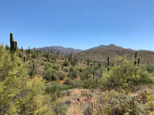 10 Best Hikes and Trails in Spur Cross Ranch Conservation Area | AllTrails