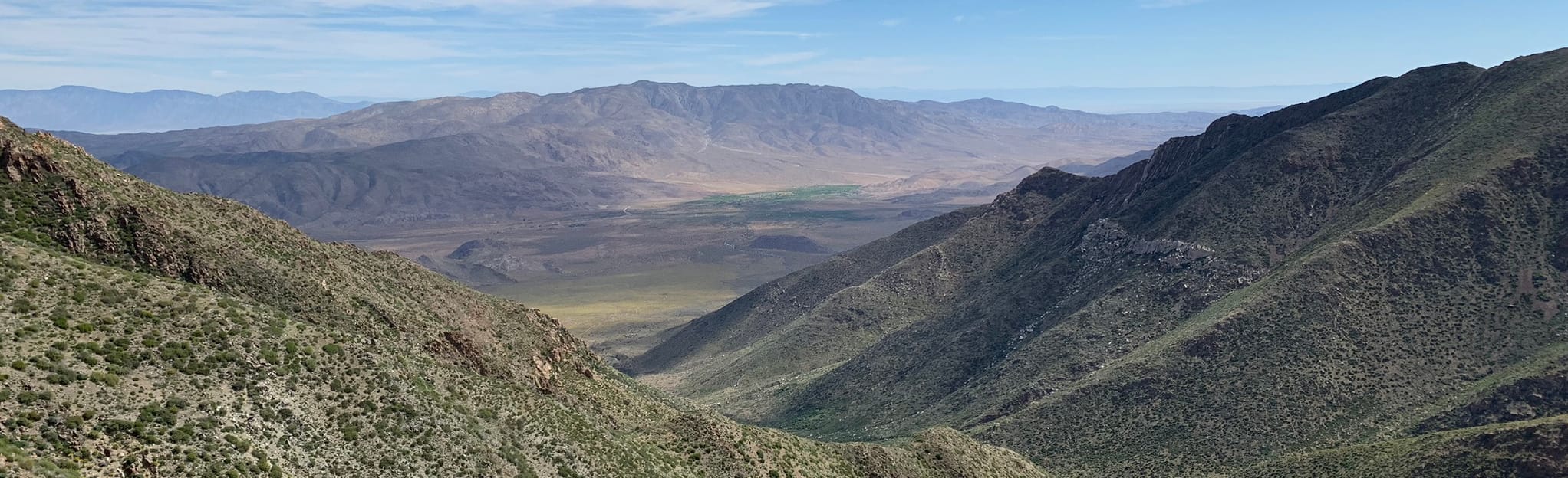 Oasis Spring Trail: 16 Reviews, Map - California | AllTrails