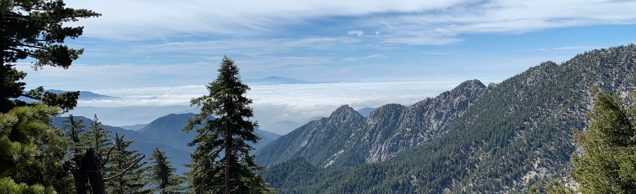 Waterman Mountain Loop Trail: 1 500 Zdjęcia – Kalifornia | AllTrails