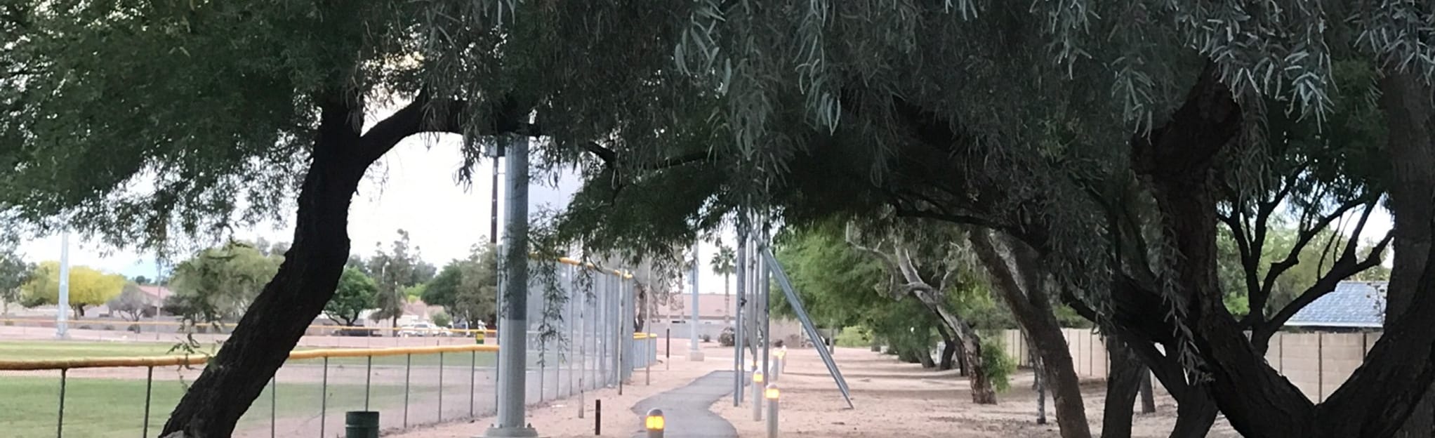 Pima Park Loop, Arizona - 46 Reviews, Map | AllTrails