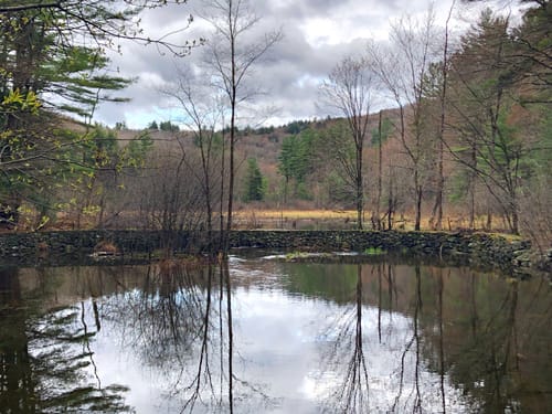 Best Hikes and Trails in Madame Sherri Forest | AllTrails