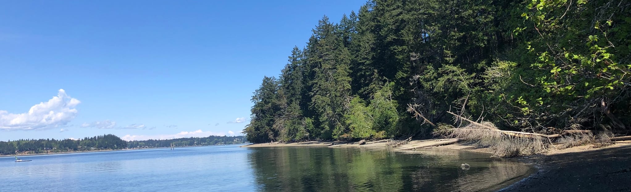 Evergreen Beach Trail: 499 foto's - Washington | AllTrails
