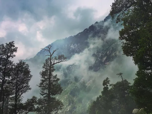 10 Best Hikes and Trails in Dhauladhar Wildlife Sanctuary | AllTrails