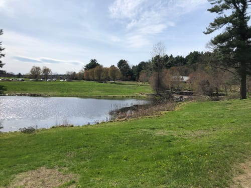 Best Hikes and Trails in Great Brook Farm State Park | AllTrails