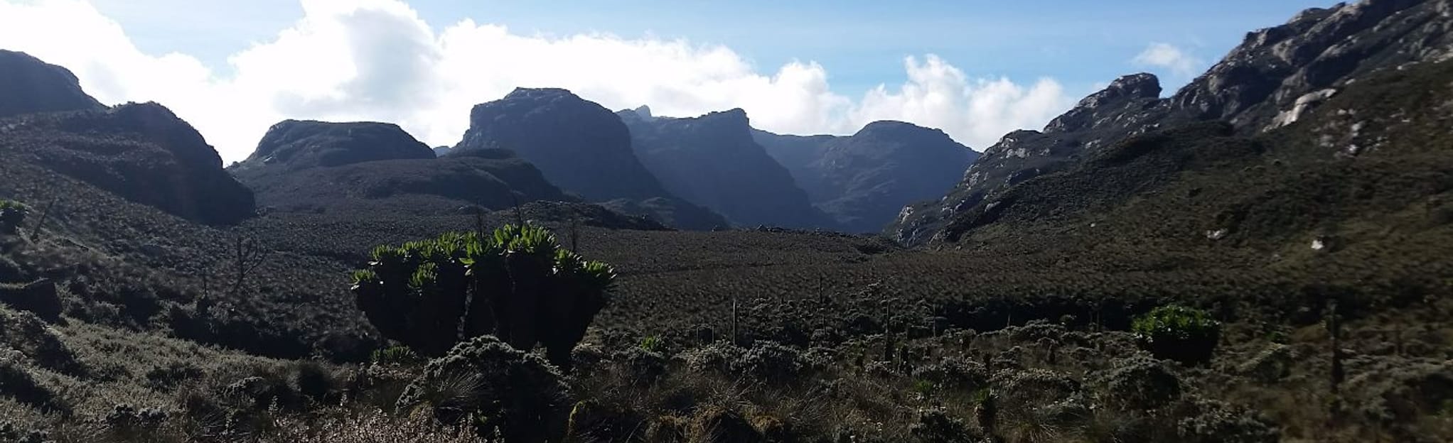 Rwenzori Mountains Trek to Weissman's Peak: 4 Reviews, Map - Kasese ...