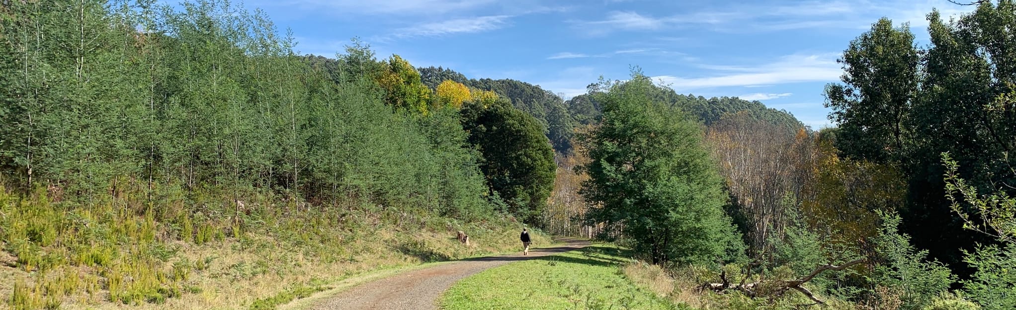 RJ Hamer Arboretum Loop: Dam, Cornus, Black Hole, Mathias Road: 300 ...