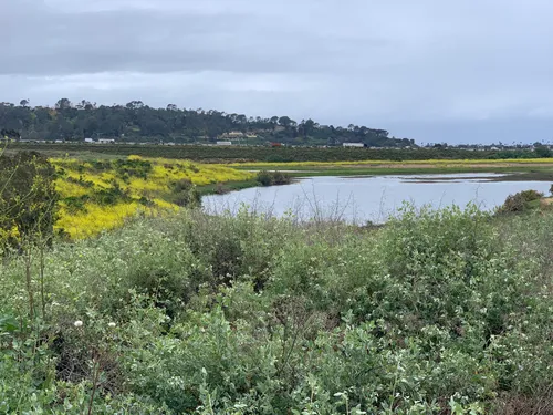 10 Best Trails and Hikes in Del Mar | AllTrails