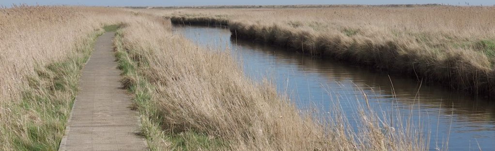 Southwold to Walberswick via Marshes, Suffolk, England - 134 Reviews ...