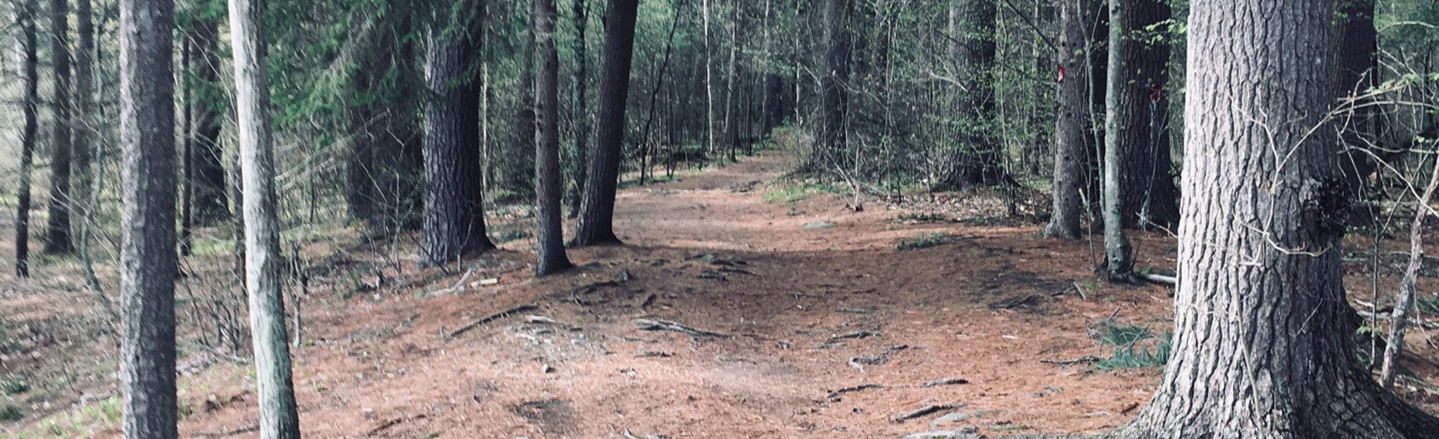 Sabine River, East Trail, and Rhododendron Trail Loop: 52 Reviews, Map ...