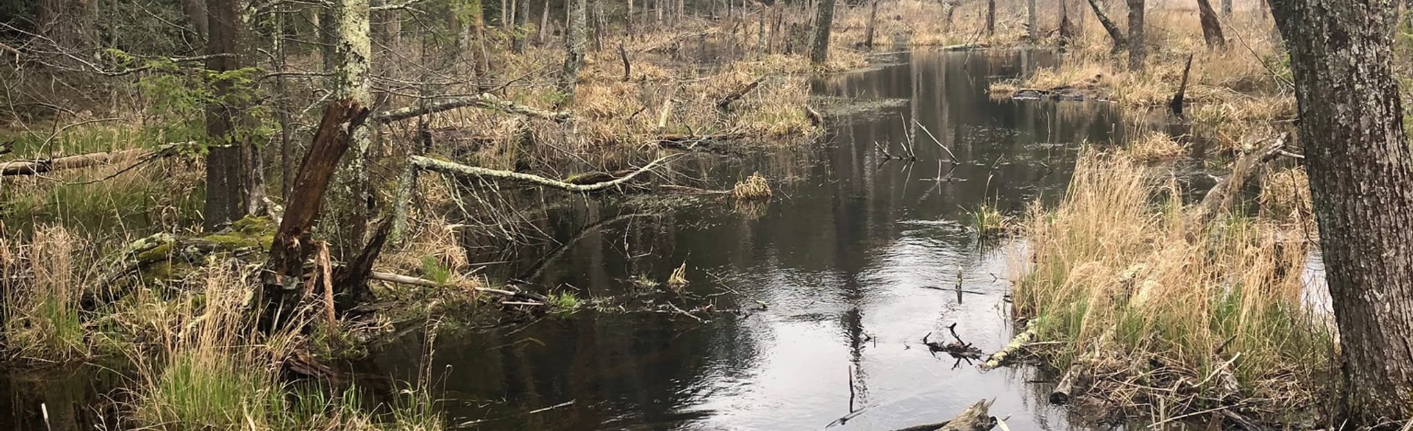 The Sherpa Trail, Connecticut - 89 Reviews, Map | AllTrails