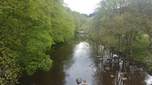 10 Best Trails, Walks, and Paths in Dunkeld | AllTrails