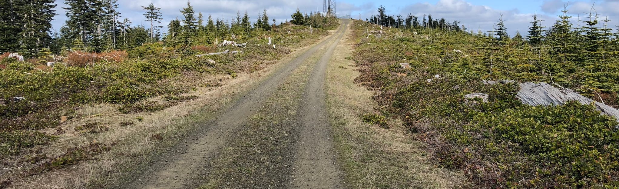 Larch and Rock Candy Peaks, Washington - 23 Reviews, Map | AllTrails