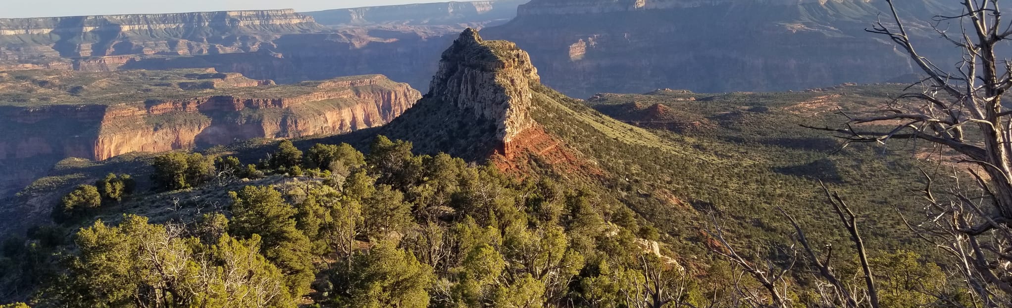 Bill Hall Trail, Arizona - 37 Reviews, Map | AllTrails