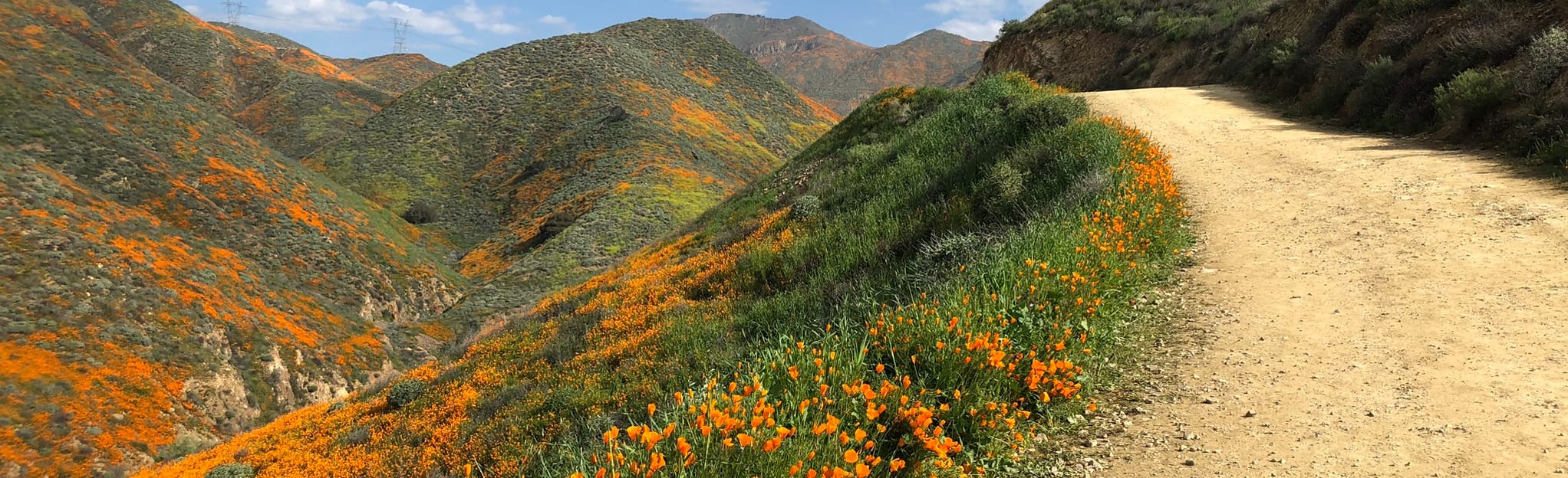 Walker Canyon Trail, California - 620 Reviews, Map | AllTrails