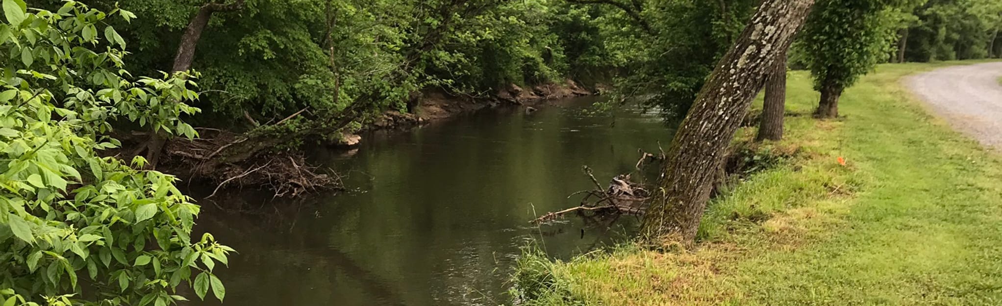 Mountain Run Creek Trail, Virginia - 58 Reviews, Map | AllTrails