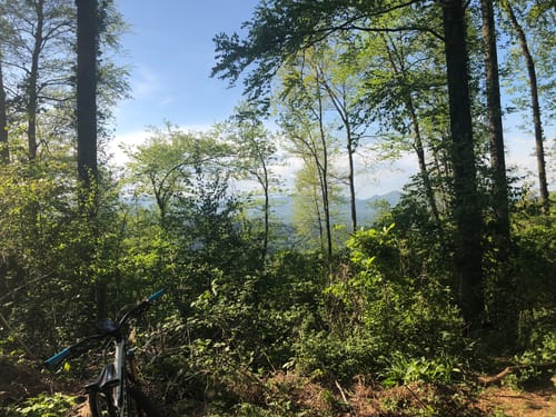 2023 Best 10 Trails and Hikes in Candler | AllTrails