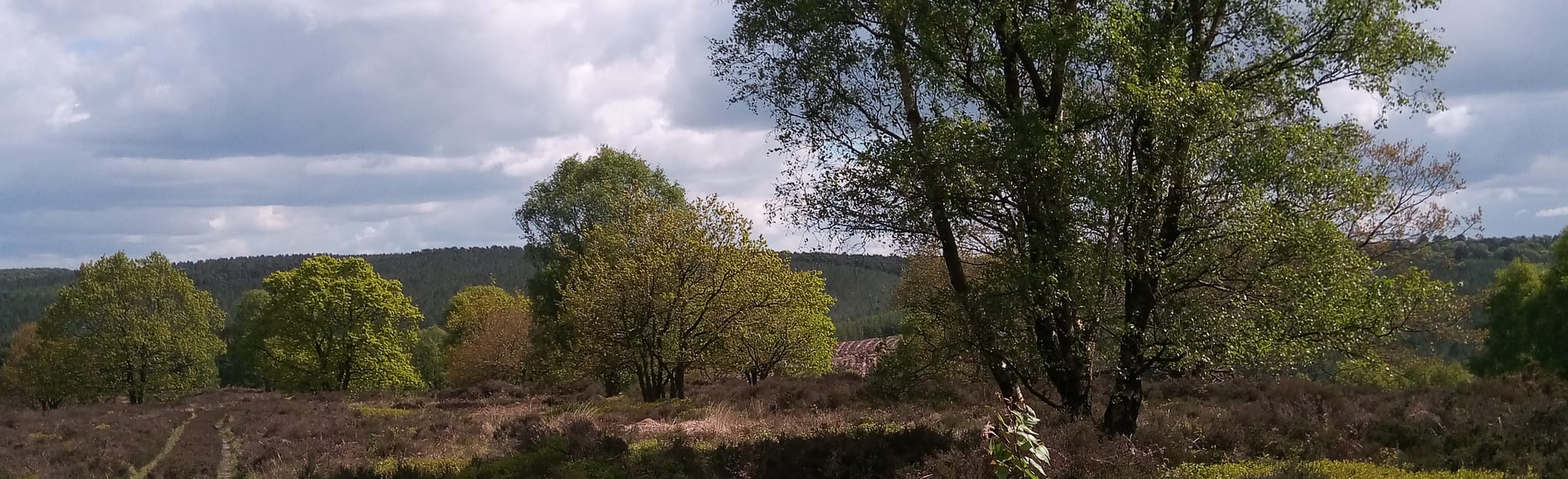 Brindley Heath Road and Marquis Drive Circular - Staffordshire, England ...