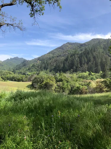 10 Best Hikes and Trails in Sugarloaf Ridge State Park | AllTrails