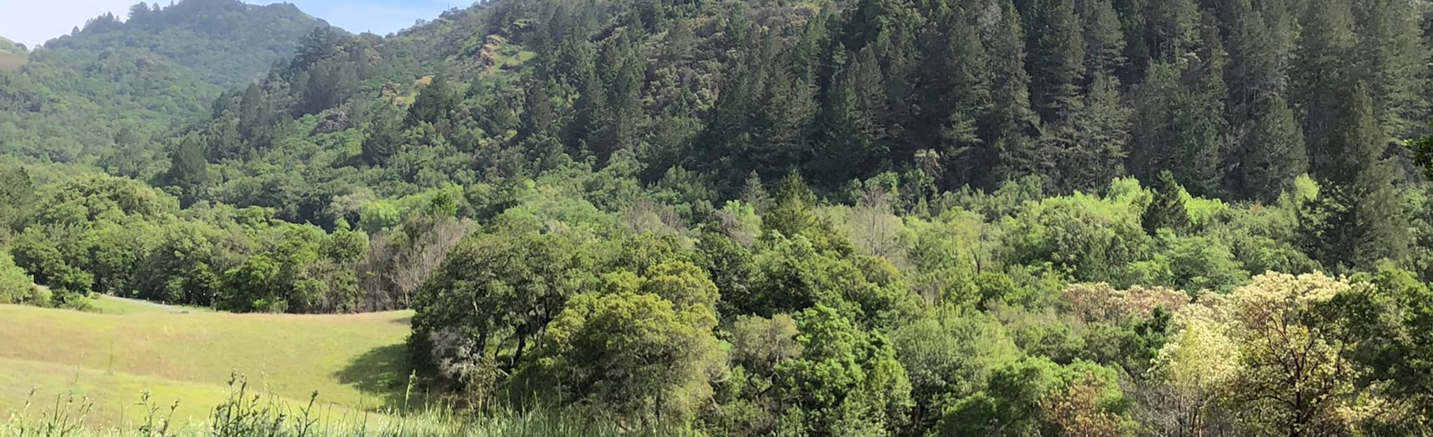 Canyon and Pony Gate Trail Loop, California - 467 Reviews, Map | AllTrails