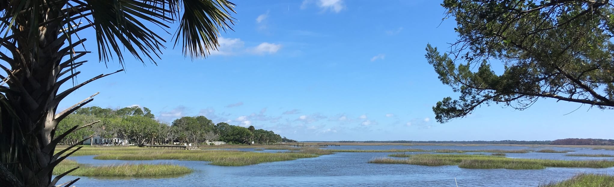 Stokes Landing White Blaze Trail, Florida - 48 Reviews, Map | AllTrails