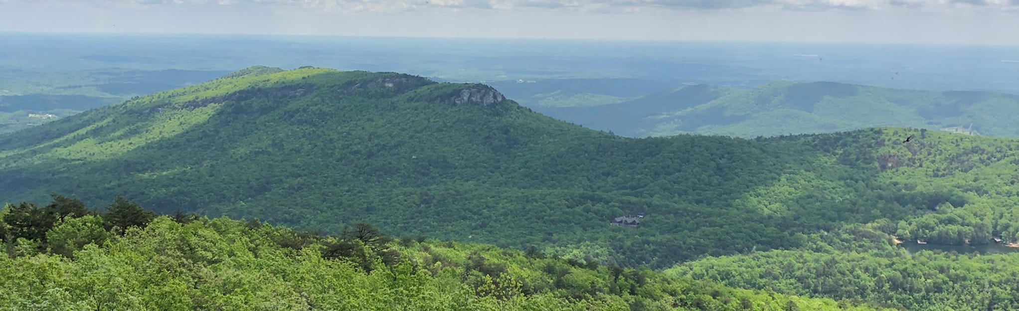 Tory's Den and Moore's Wall Loop: 218 Reviews, Map - North Carolina ...