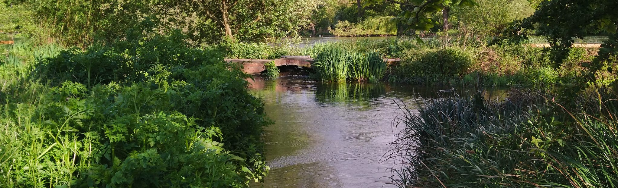 Little Britain Lake, London, England - 37 Reviews, Map | AllTrails