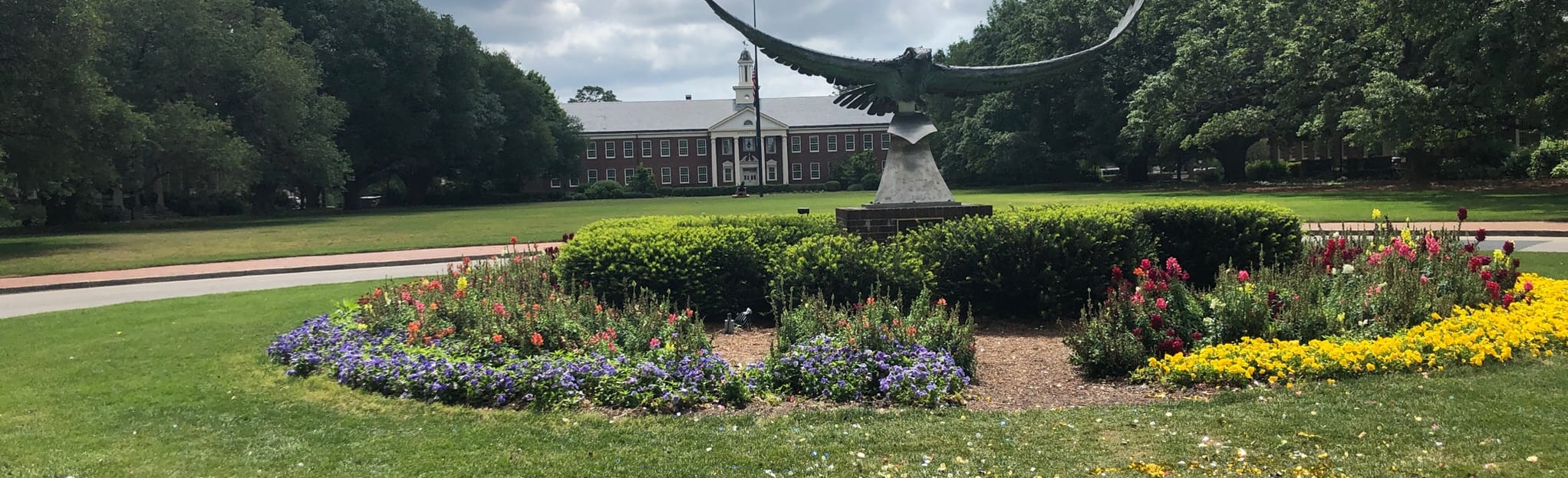 Gary Shell Cross City Trail, North Carolina - 157 Reviews, Map | AllTrails