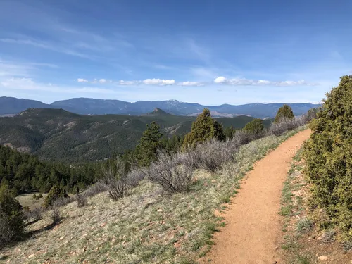 Best Hikes and Trails in Reynolds Ranch County Park | AllTrails
