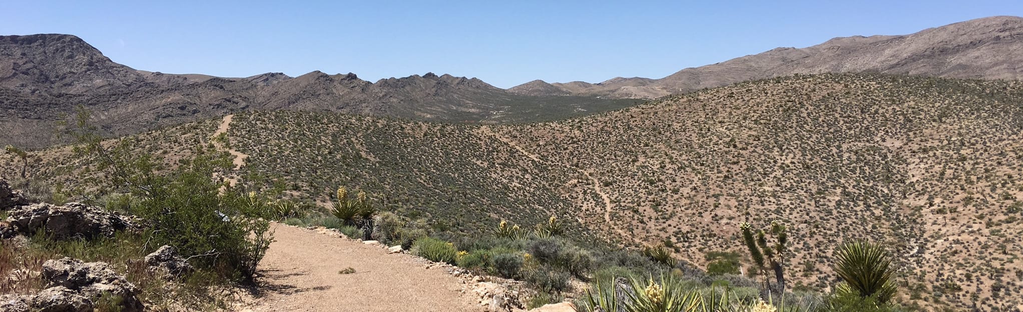 Goodsprings RR Ridge Loop: 158 Reviews, Map - Nevada | AllTrails