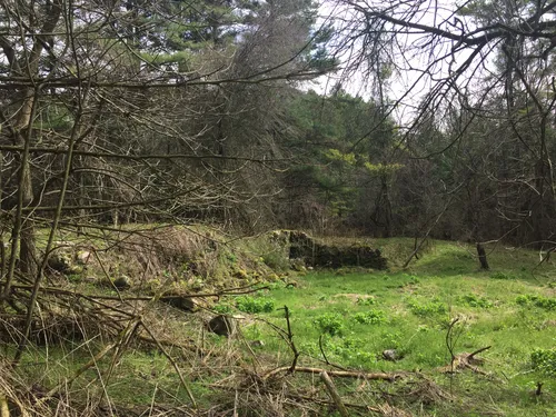 10 Best Trails and Hikes in Goderich | AllTrails