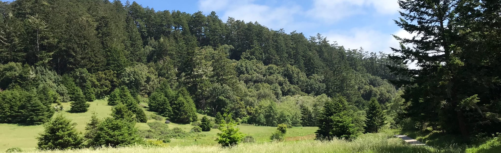 AllTrails | Bear Valley, Mount Wittenberg and Wildcat Campground: 29 ...