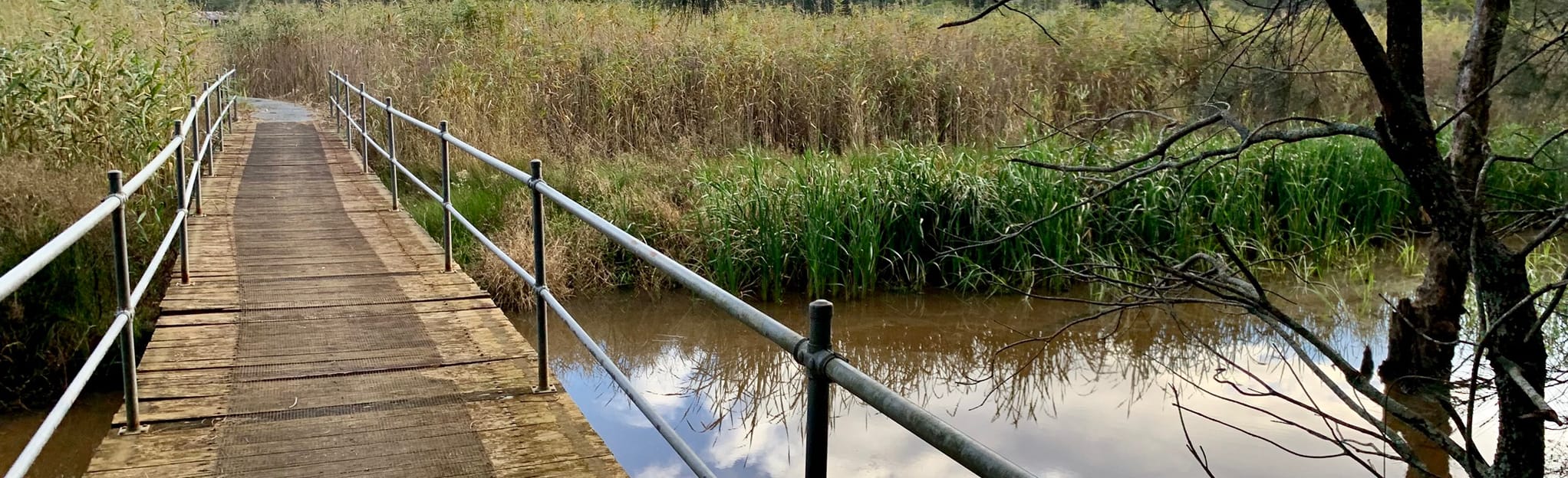 Longneck Lagoon Walking Track | Map, Guide - New South Wales, Australia ...