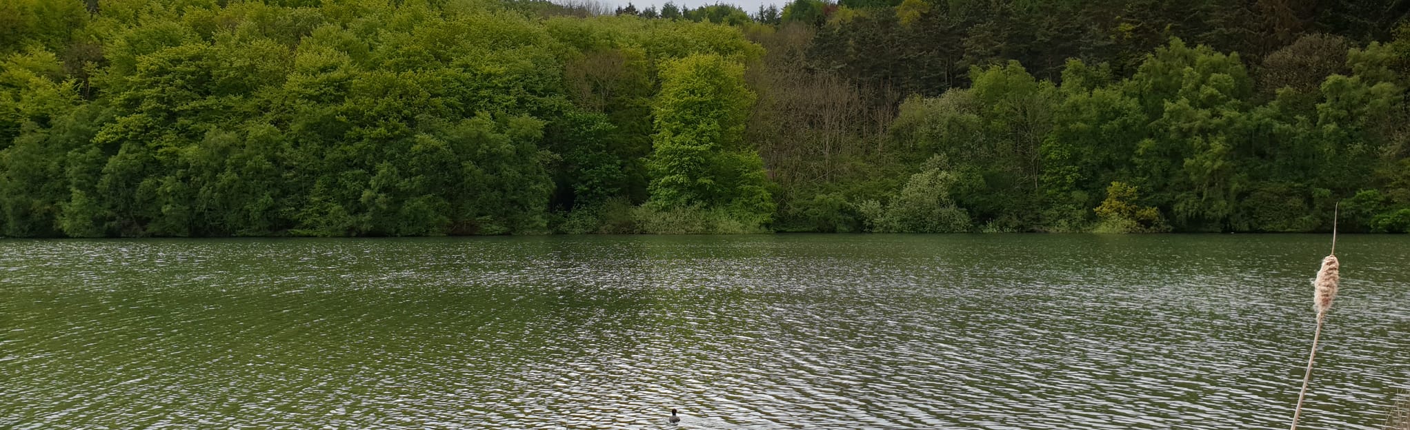 Ardingly Reservoir Bridle Path , West Sussex, England - 35 Reviews, Map ...