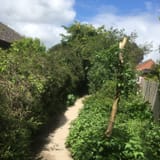 Kingsdown and Walmer Circular, Kent, England - 67 Reviews, Map | AllTrails