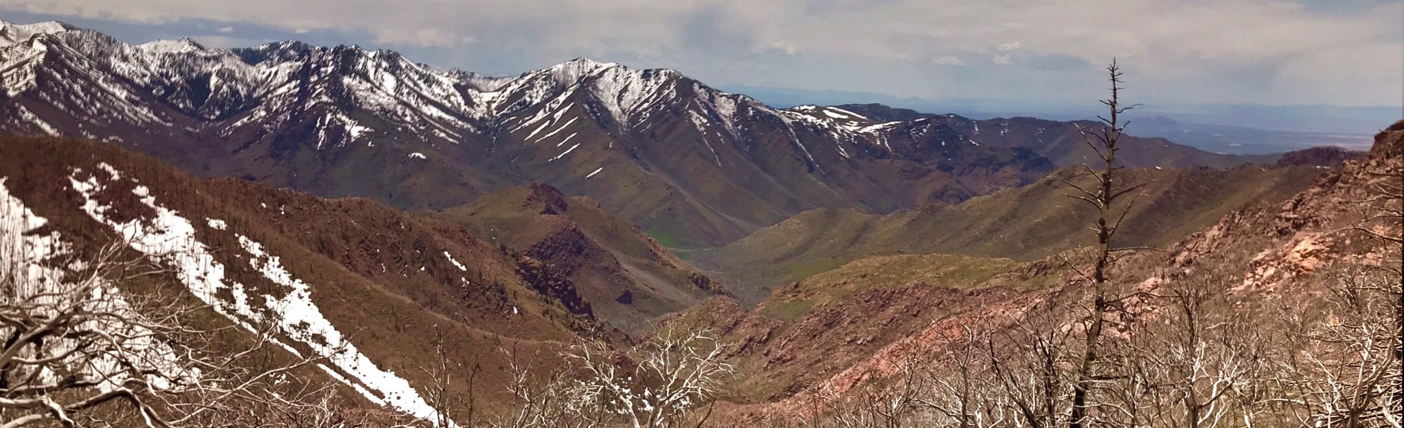 Fool Creek Peak, Utah - 24 Reviews, Map | AllTrails