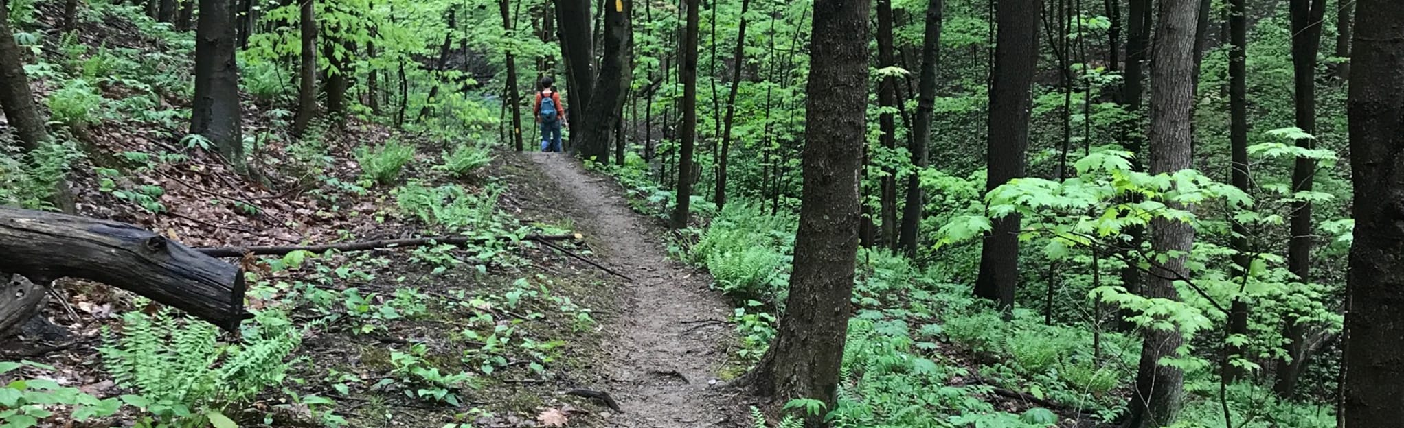 Rachel Carson Trail: North Park to Harrison Hills Park - Pennsylvania ...