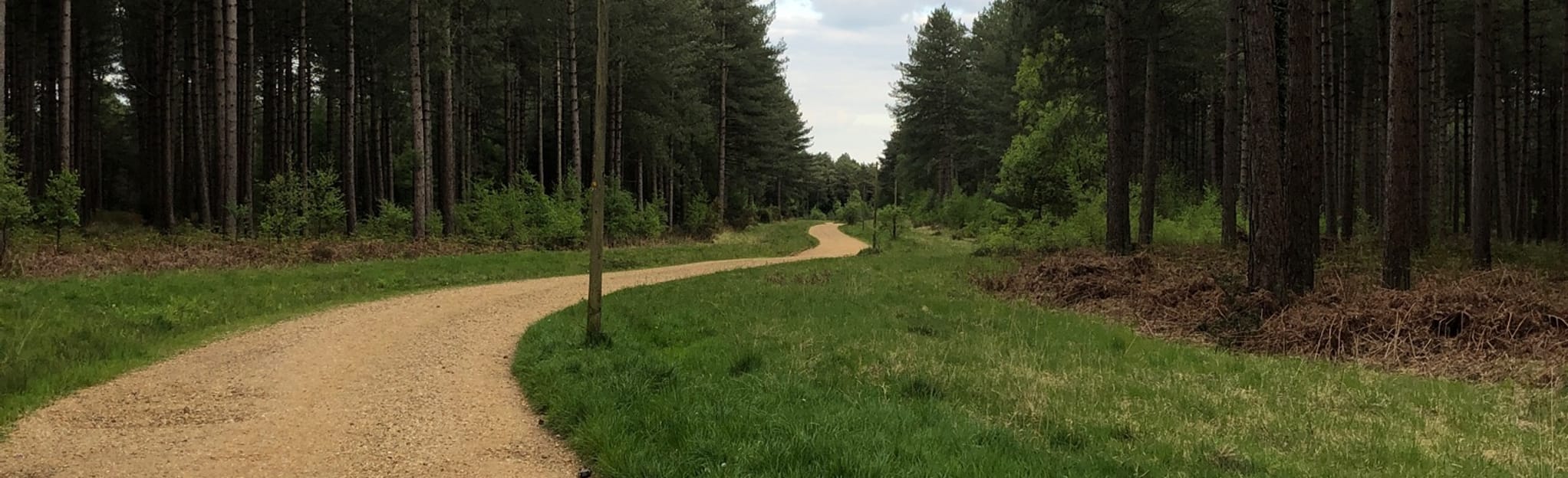 Oakdene Holiday Park and Foxbury Hill, Hampshire, England - 25 Reviews ...