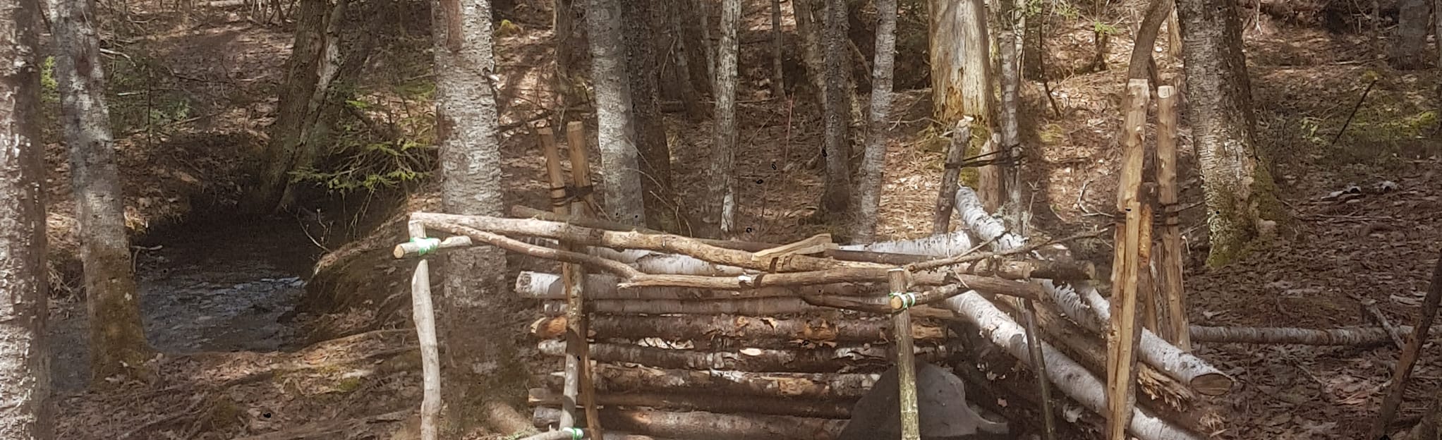 Dobson Trail: Levy Rd to Smith Rd, New Brunswick, Canada - 16 Reviews ...