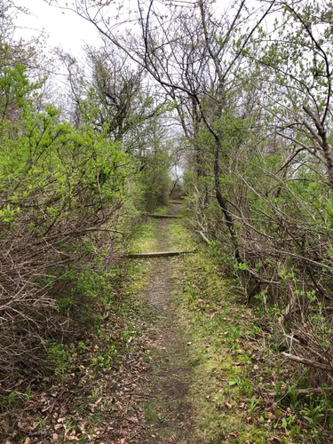 Best Hikes and Trails in Sandy Point State Reservation | AllTrails