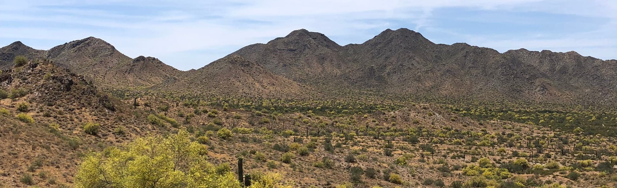 Goldmine, Moonlight, San Tan, and Dynamite Trail Loop | Map, Guide ...