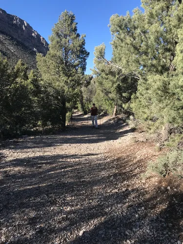 Best 10 Hikes and Trails in Spring Mountains National Recreation Area ...