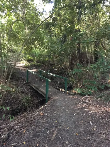 Best Hikes and Trails in Cumberland State Forest | AllTrails